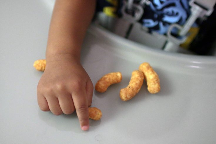Baby Led Weaning for Beginners – The Essential Guide to Introducing ...